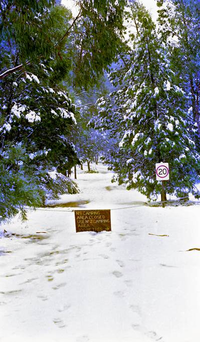 Queensland Snow Images