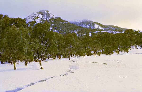 Queensland Snow Images